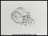 How to Draw Cartoon Crabs & Realistic Crabs : Drawing Tutorials ...