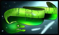 How to Draw Cartoon Eels & Realistic Eels : Drawing Tutorials & Drawing ...