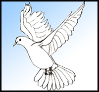 How to Draw Doves : Drawing Tutorials & Drawing & How to Draw Doves ...