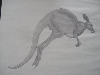 How to Draw the Kangaroos : Drawing Tutorials & Drawing & How to Draw ...