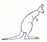How to Draw the Kangaroos : Drawing Tutorials & Drawing & How to Draw ...