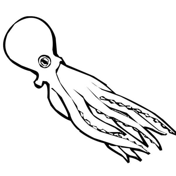 How to Draw Octopus : Drawing Tutorials & Drawing & How to Draw Octopus ...