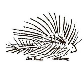 How to draw porcupines