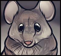 How to Draw Cartoon Mice & Rats & Realistic Mice & Rats : Drawing ...