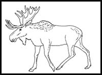 How to Draw Cartoon Moose & Realistic Moose : Drawing Tutorials ...
