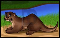 How to Draw Cartoon Otters & Realistic Otters : Drawing Tutorials ...