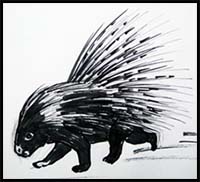 How to Draw Cartoon Porcupines & Realistic Porcupines : Drawing ...