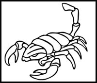 How to Draw Cartoon Scorpions & Realistic Scorpions : Drawing Tutorials ...