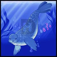 How to Draw Cartoon Seals & Sea Lions & Realistic Seals & Sea Lions ...