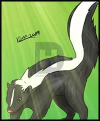 How to Draw Cartoon Skunks & Realistic Skunks : Drawing Tutorials ...