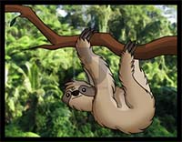How to Draw Cartoon Sloths & Realistic Sloths : Drawing Tutorials ...