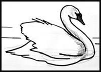How to Draw Swans : Drawing Tutorials & Drawing & How to Draw Swan ...