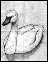 How to Draw Swans : Drawing Tutorials & Drawing & How to Draw Swan ...