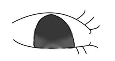 How to Draw Eyes & How to Draw the Face Drawing Tutorials: Drawing ...