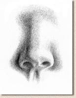 How to Draw a Nose and the Face: Drawing Tutorials & Drawing & How to ...