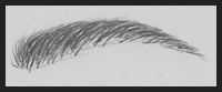 Eyebrows Drawing Lessons & Tutorials for How to Draw Eye Brows Step by Step