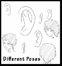 Draw Anime Ears and Manga Ears : How to Draw Anime Ears & Manga Ears ...