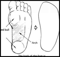 Draw Anime & Manga Hands and Feet : How to Draw Manga Hands and Feet ...