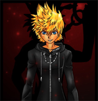 Draw Kingdom Hearts Characters : How to Draw Kingdom Hearts Manga ...