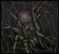 How to Draw Spiders : Drawing Tutorials & Drawing & How to Draw Spiders ...