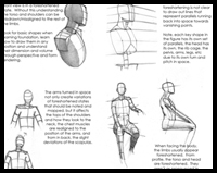 Foreshortening Perspective Drawing Lessons : How to Draw Foreshortened ...