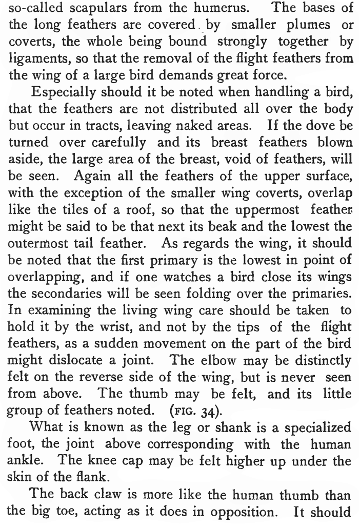 Untitled Document [www.drawinghowtodraw.com]