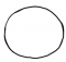 Step by Step Lesson : How to Draw Sandy Cheeks from Spongebob ...