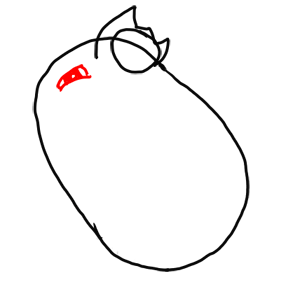 Step 4 How to Draw Raticate from Pokemon for Kids : Step by Step ...