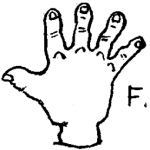 Drawing the Back of the Hand with the Hand Outstretched – How to Draw ...