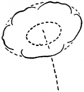 How to Draw Flowers : Drawing Buttercups Step by Step Lesson – How to ...