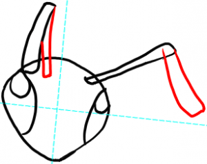 How to Draw Beedril from Pokemon : Step by Step Drawing Lesson – How to ...