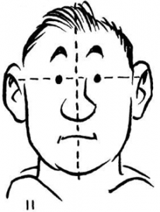 Drawing Comic / Cartoon Style Heads & Faces From All Angles & Views ...