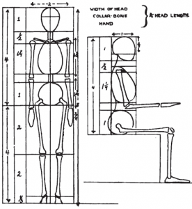 human body skeletons proportions – How to Draw Step by Step Drawing ...