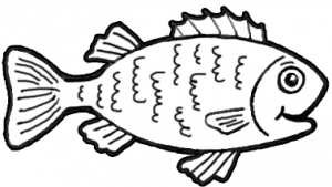 Drawing a Cartoon Fish with Easy Sketching Instructions - How to Draw ...