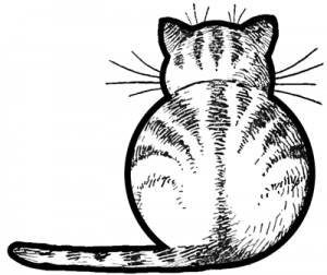 How to Draw Kitty Cats from the Back Easy Step by Step Drawing ...