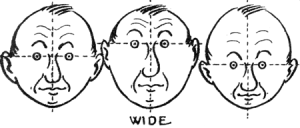 How to Draw Cartoon Faces and Heads with Different Shaped Heads – How ...