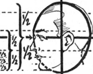 Proportions and Shapes of Comic Human Faces / Heads – Cartooning Lesson ...