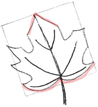 How to Draw Maple Leaves - Easy Leaf step by step drawing lesson - How ...