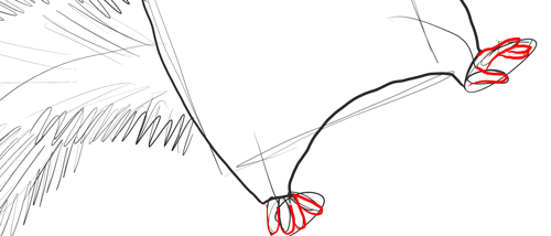 How to Draw Mort from Penguins of Madagascar Step by Step Drawing ...