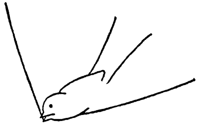 How to Draw Birds : Swallows with Easy Step by Step Drawing Lesson ...
