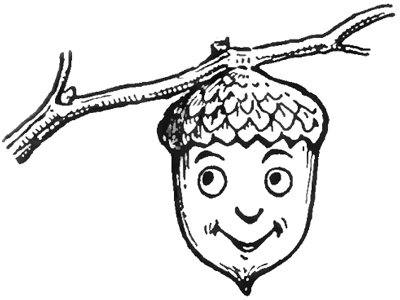 How To Draw A Cute Cartoon Acorn Youtube