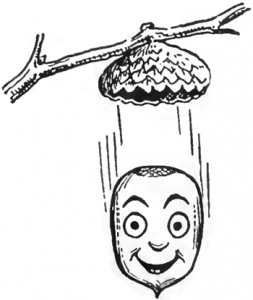 How to Draw Acorns Falling from Oak Tree Branch with Easy Drawing ...