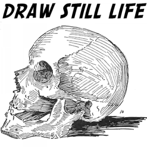 Set Up a Still Life Drawings Lesson – How to Draw Still Lives – How to ...
