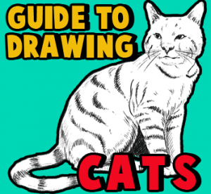 Guide to Drawing Cats & Kittens with Step by Step Instructional ...