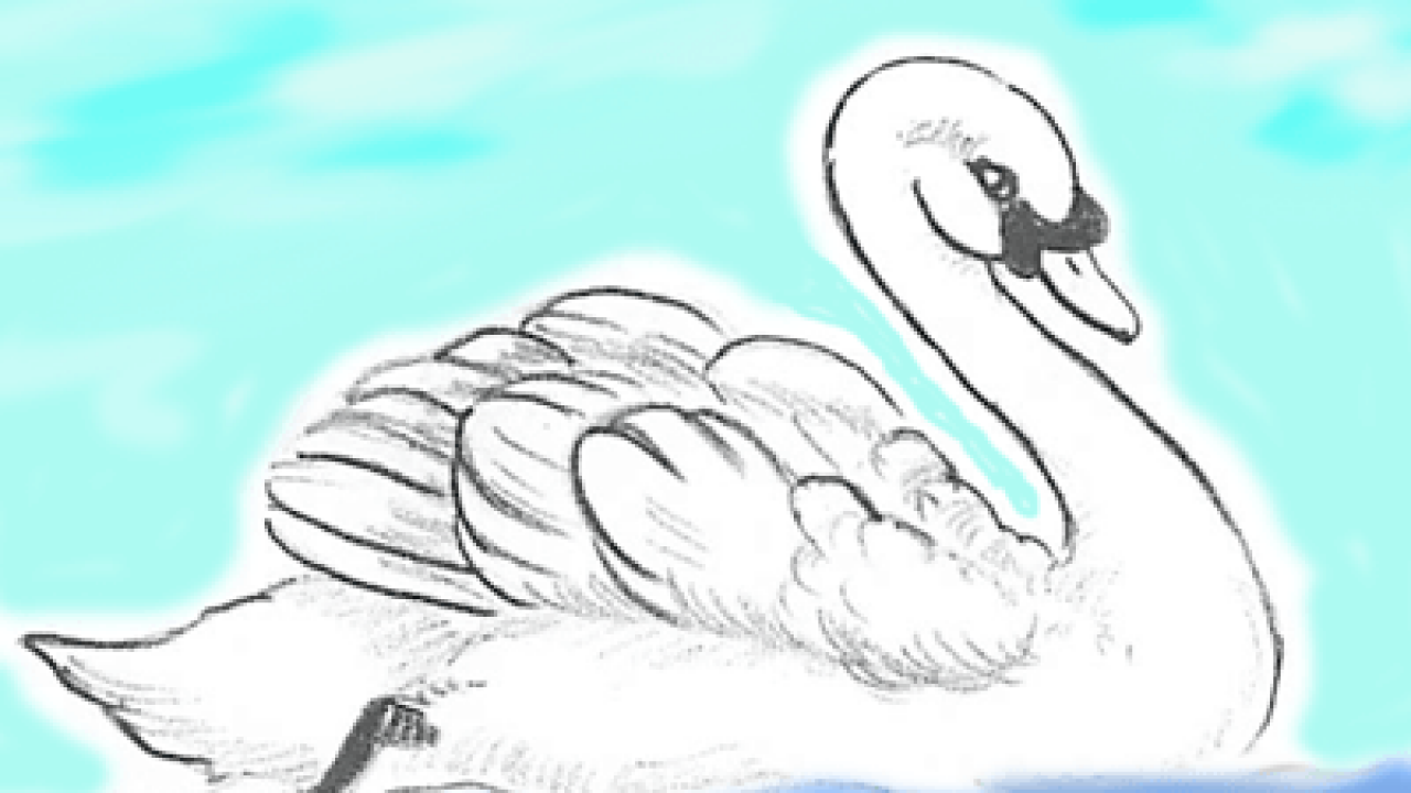 Easy Drawings Of Swans
