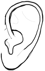 Ear Drawing For Kids