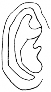 Drawing Ears in Easy Steps Drawing Lesson – How to Draw Step by Step ...