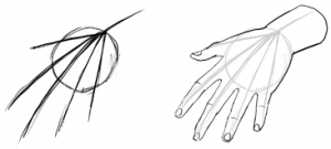 How to Draw Hands and Fingers in Manga Anime Illustration Style ...