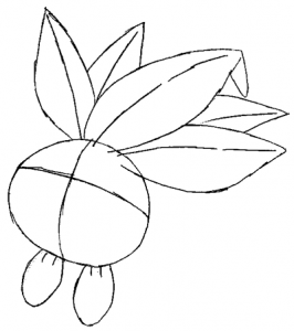 How to Draw Oddish from Pokemon Step by Step Drawing Tutorial for Kids ...