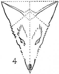 How to Draw Foxes Heads Easy Step by Step Drawing Tutorial – How to ...